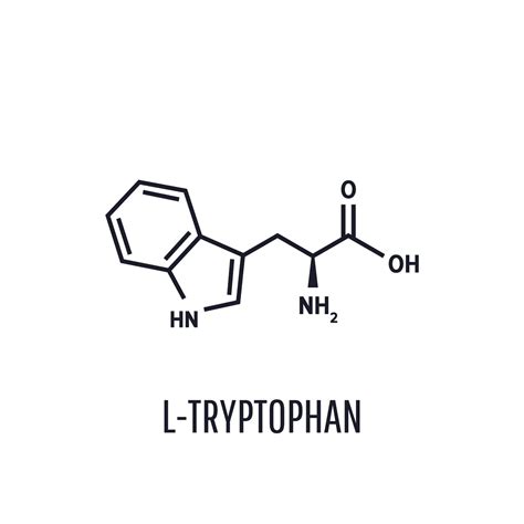 Is L Tryptophan Safe Performance Lab®