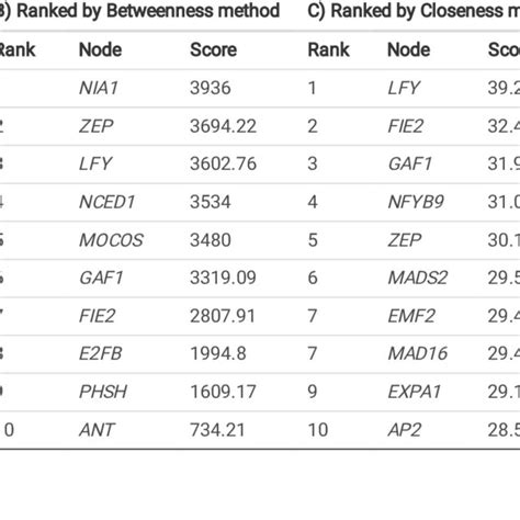 Analysis Degree Betweenness Closeness Centrality And Cluster Analysis
