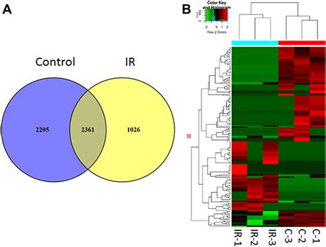 Analysis Of Circular Rna Expression Profile In Hek 293t Cells Exposed