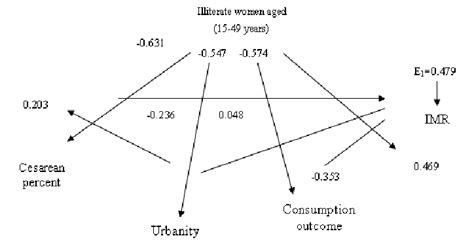 Path Diagram Path Standardized Coefficients Of The Risk Factors And
