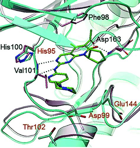 Atp Binding Site Of Cdk6 In Complex With The Inhibitor Palbociclib