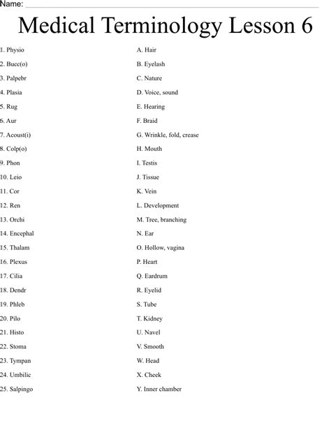 Lesson 4 Worksheet Medical Terminology
