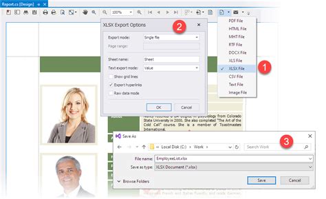 document export overview reporting devexpress documentation