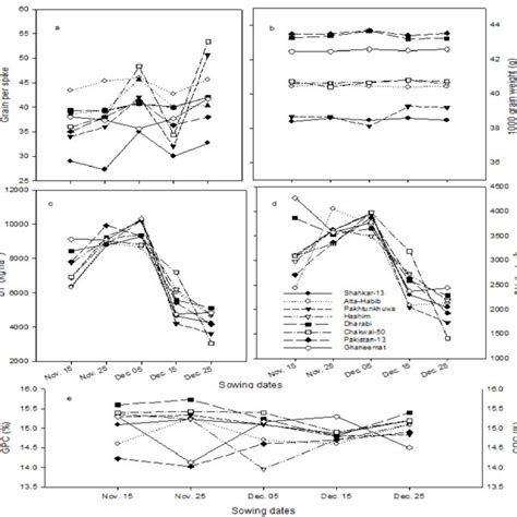 Interactive Response Of Wheat Varieties And Sowing Date Effect For