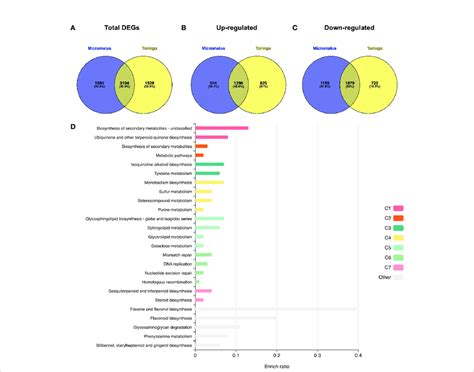Transcriptomic Overview Of Rna Seq Results For Wild Malus Accessions