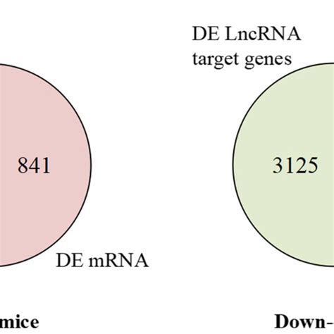 Venn Diagram Of Upregulated A And Downregulated B Differential