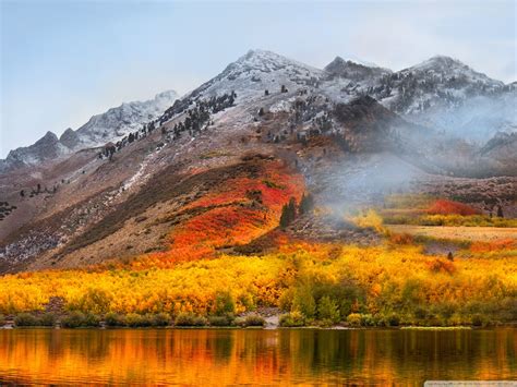 download xcode for mac os x high sierra