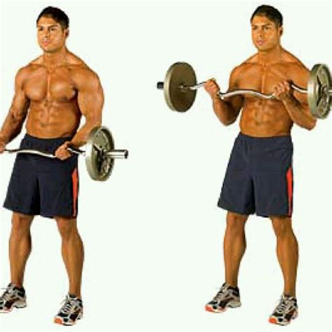 Biceps Curl Ez Bar By Jacco Obermeier Exercise How To Skimble