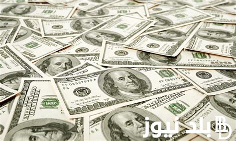 100 دولار كام مصري في السوق السوداء؟ تعرف على سعر الدولار اليوم السبت