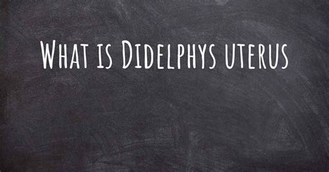 What Is Didelphys Uterus