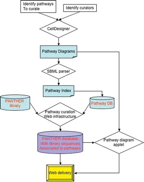 Schematic Illustration Of Panther Pathway Building Process Download