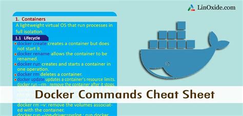 this tutorial brings a complete list of docker commands in