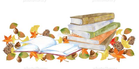 本と紅葉 読書の秋のイメージ イラスト素材 [ 6496594 ] フォトライブラリー Photolibrary