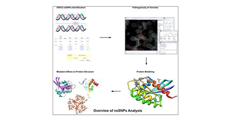 In Silico Analysis Of Nssnps Of Human Kras Gene And Protein Modeling
