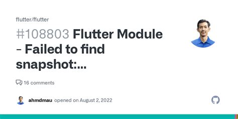 flutter module failed to find snapshot flutter assets kernel blob