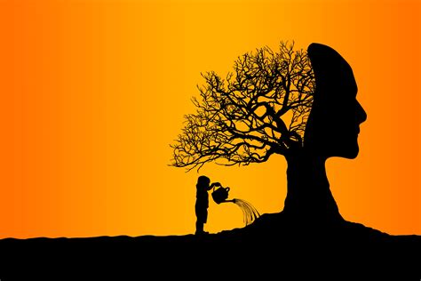 Claves Para Diferenciar La Psicología Y La Psicoterapia Instituto