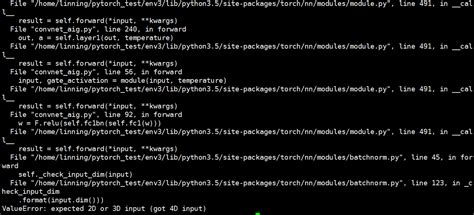 valueerror expected 2d or 3d input got 4d input · issue 1