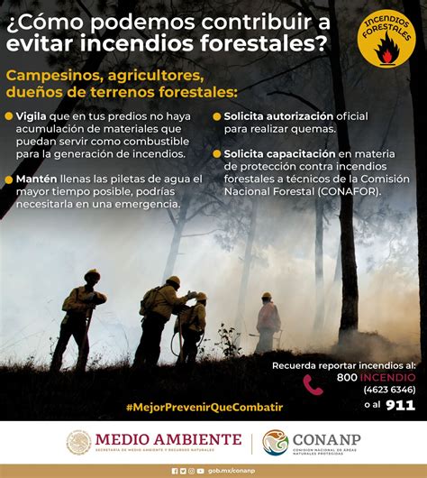La Conanp Se Prepara Para Atender Incendios Forestales En 2021