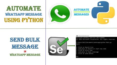 send bulk whatsapp messages python selenium youtube