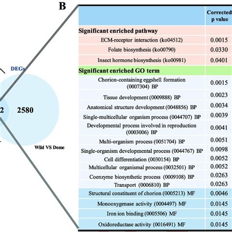 Differential Expressed Genes Degs And Functional Enrichment Analysis