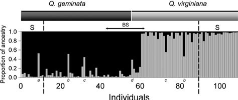 Results Of Bayesian Analysis Using The Program Structure Pritchard Et