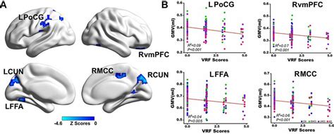 Multivariate Regression Analysis Indicates The Effects Of Vrfs On Gray