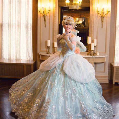 Sparkly Cinderella Adult Cinderella Costume Disney Princess Inspired