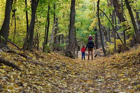 Premium Photo Father And Two Sons Walking In The Autumn Forest