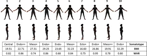 Development And Validation Of The Body Shape Scale Boshas For