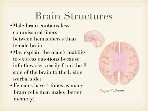 gender identity and differences