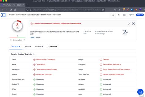 vt detect stack based buffer overflows on windows x assessment hot
