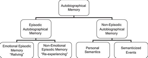 A Modifi Ed View Of The Episodic Semantic Distinction Within