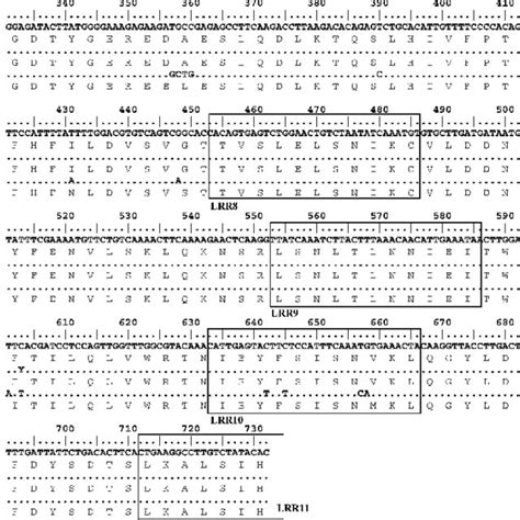 Mutations In The Central Part Of Bovine Tlr4 Ectodomain Alignment Of