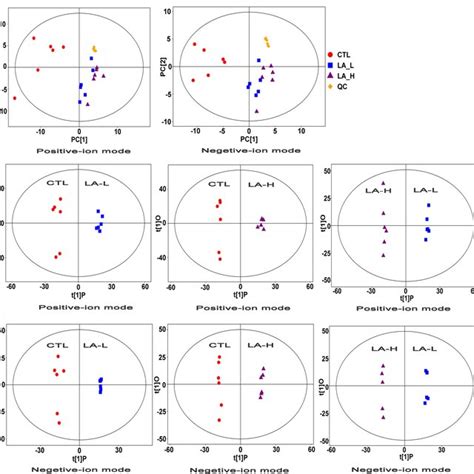 The Principal Component Analysis Pca And Orthogonal Projections To