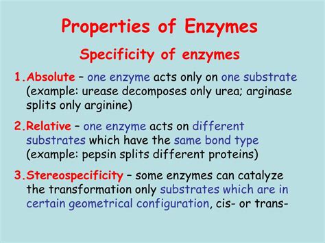 Ppt Enzymes Classification Structure Powerpoint Presentation Free