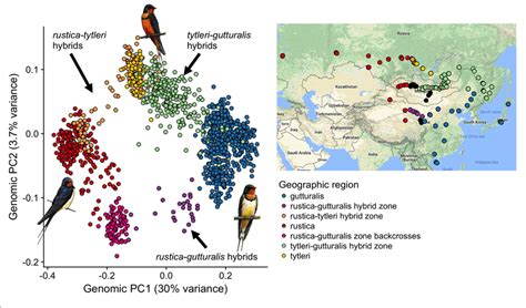 The First Two Principal Components From A Pca Of The Genetic Covariance