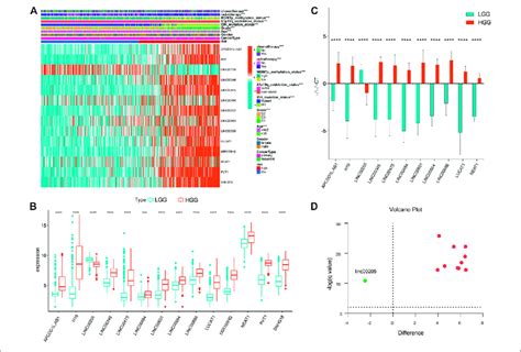 Clinical Correlation Of The Prognostic Signature A Heatmap
