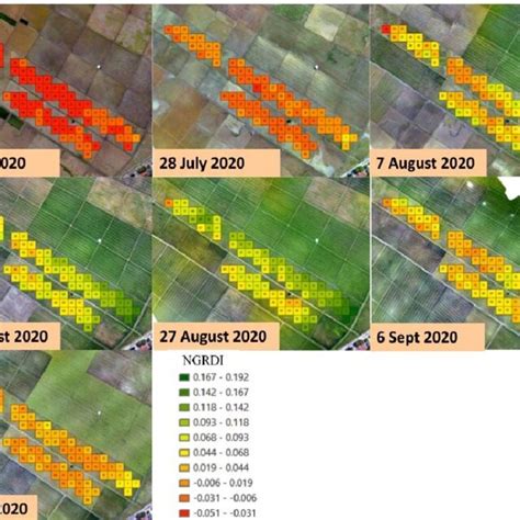Ngrdi On Rice Vegetation Based On Growth Stage Every 10 Days Download