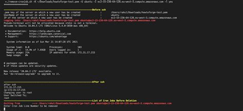how to add and remove cronjobs from linux ec2 instances on aws using