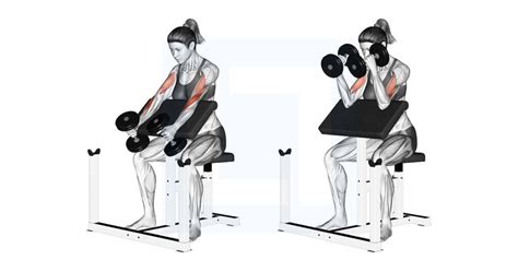 Dumbbell Hammer Preacher Curl Guide Benefits And Form