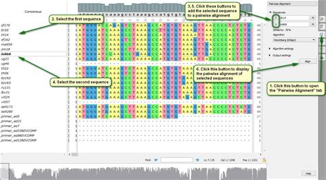 pairwise alignment and remove gaps unipro ugene