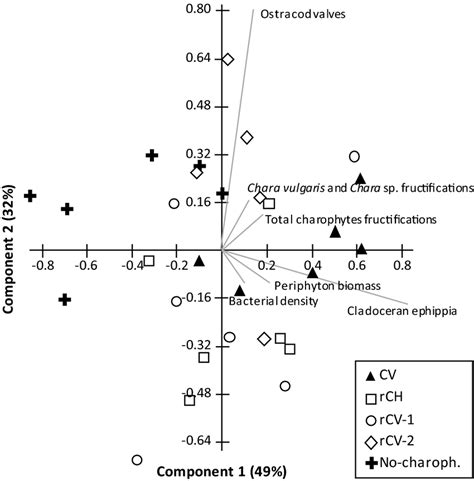 Pca Biplot Of The Different Assemblages Of All Surficial Sediment