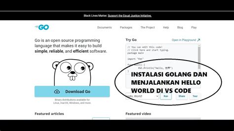 instalasi and konfigurasi golang di vs code dan menjalankan hello world