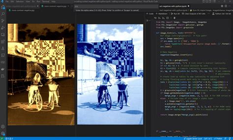 cyanotype vdb salt paper prints making contact negatives with python