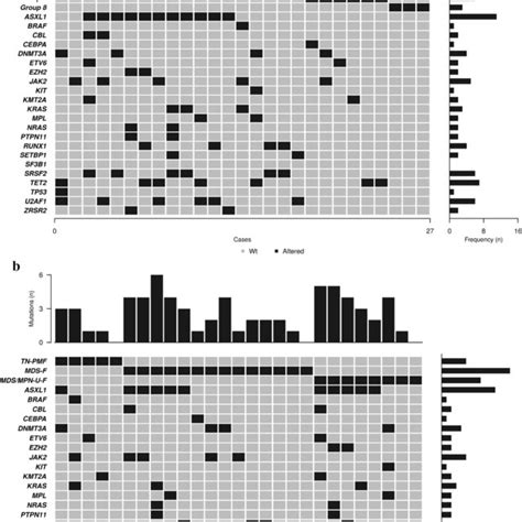 Distribution Of The Mutations Detected By Ngs In 27 Patients With