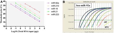 Figure 1 From A Novel Real Time Pcr Assay Of Micrornas Using S Poly T