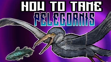 Ark Survival Evolved Ragnarok Ep01 Taming A Pelegornis Youtube
