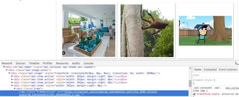 owl carousel width issue