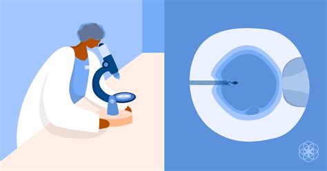 will i need ivf to conceive