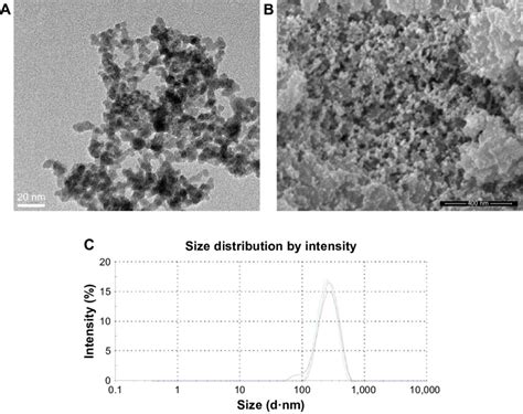 Characterization Of Ta Nps Tem A And Sem B Images Showing